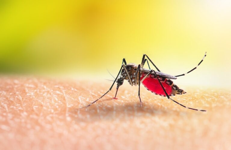 All you need to know about Dengue: Types, Blood Test & Warning Signs ...