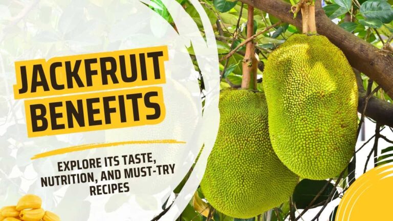 Jackfruit Benefits : Explore Its Taste, Nutrition, and Must-Try Recipes ...