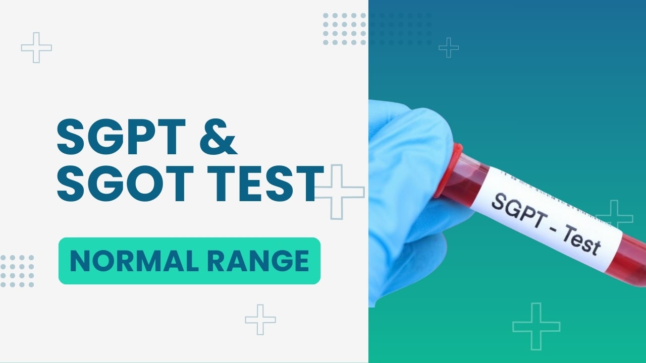 Danger Level of SGPT and SGOT - Normal Range