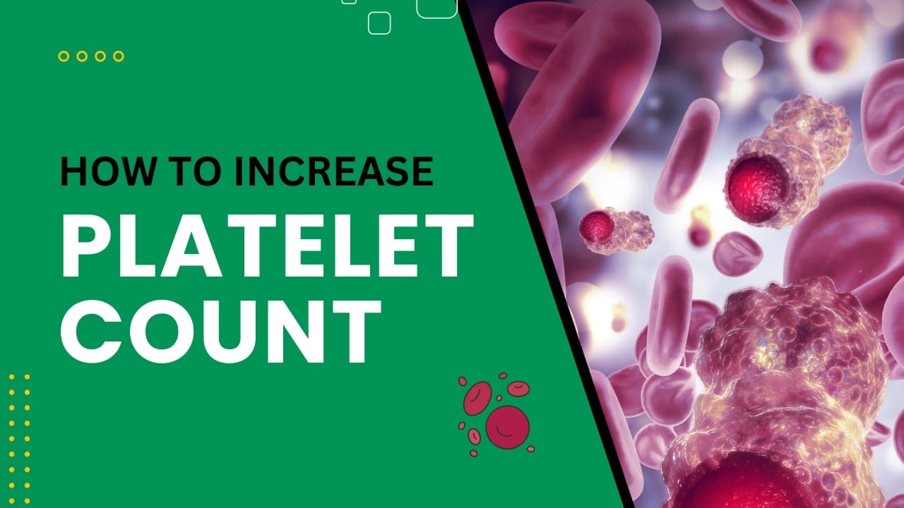How to Increase Platelet Count? Ways to Increase Platelet Count