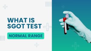 What is SGOT? Understanding Normal Ranges, High Levels, and How to ...