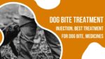 Dog Bite Treatment: Injection, Best Treatment for Dog Bite