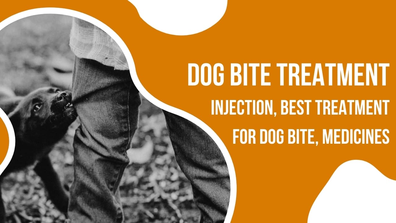 Tetanus Shot Dog Bite