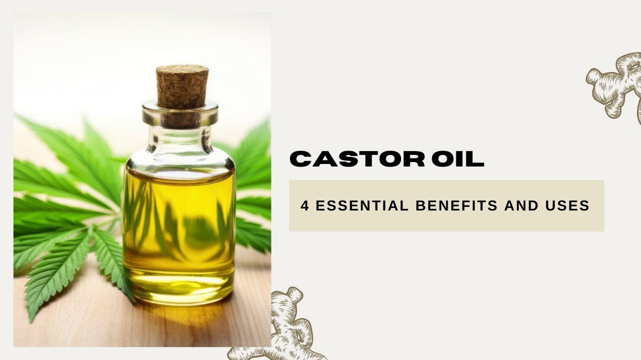 Castor Oil: 4 Essential Benefits and Uses - Medkart Pharmacy Blogs