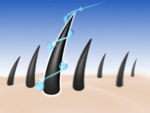 Best Foods to Block DHT and Fight Hair Loss Naturally - Medkart ...